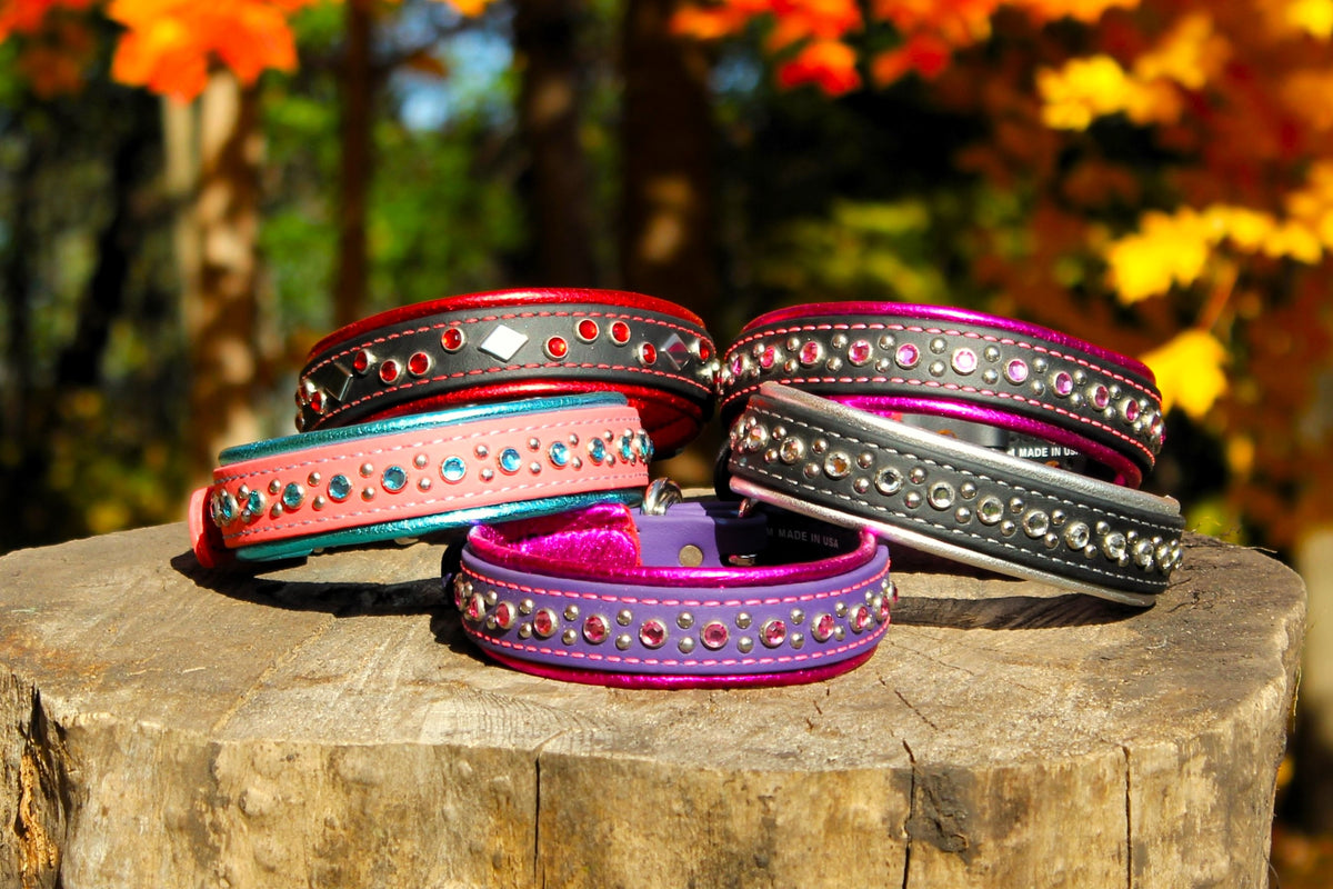 BioThane w/Leather Bling Collars | Pro-Mohs Canine Supply