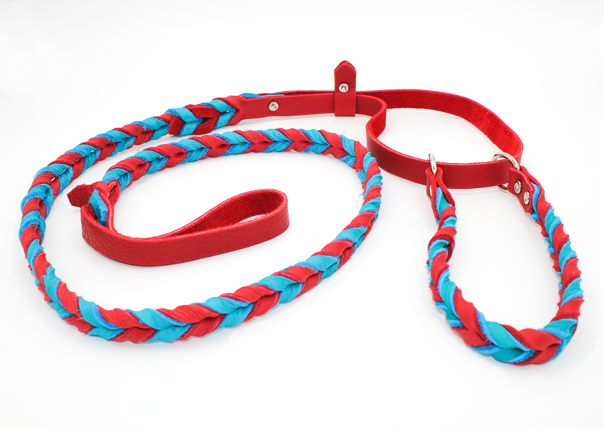 Braided Leather Agility Leash - Martingale Style | Pro-Mohs Canine Supply
