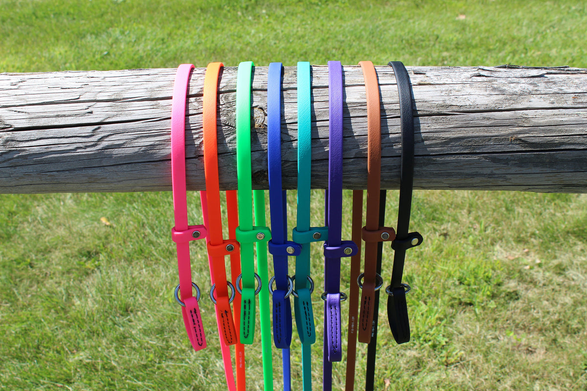 BioThane 4' Slip Leash | Pro-Mohs Canine Supply