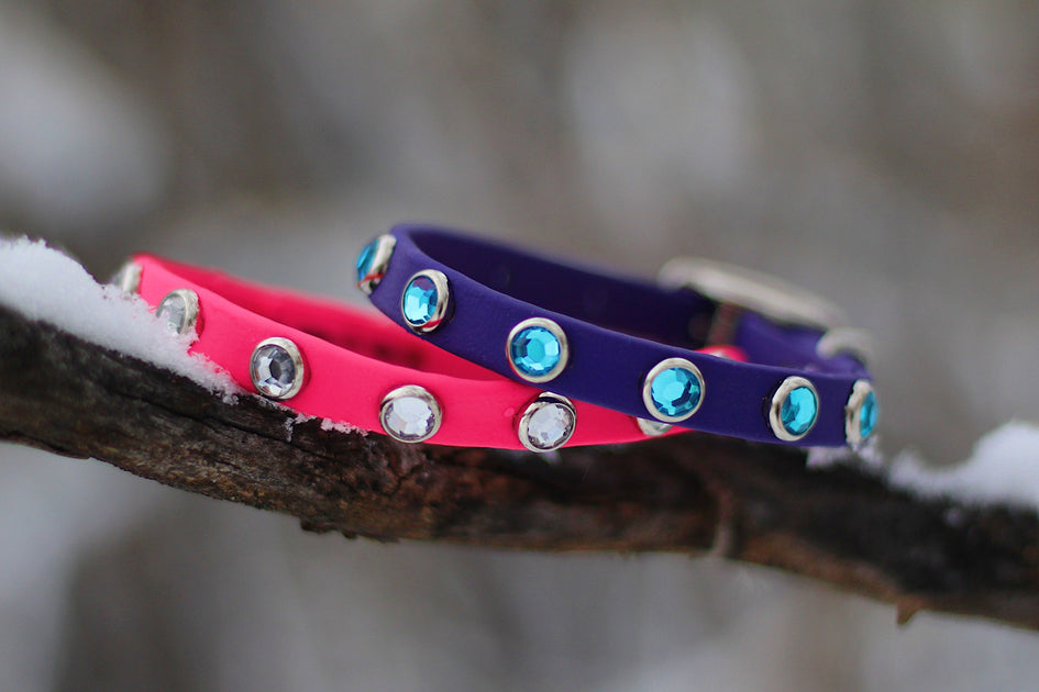In Stock BioThane Bling Collars | Pro-Mohs Canine Supply
